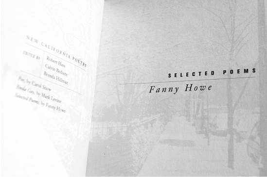 Selected Poems: Fanny Howe - Nicole Hayward Design
