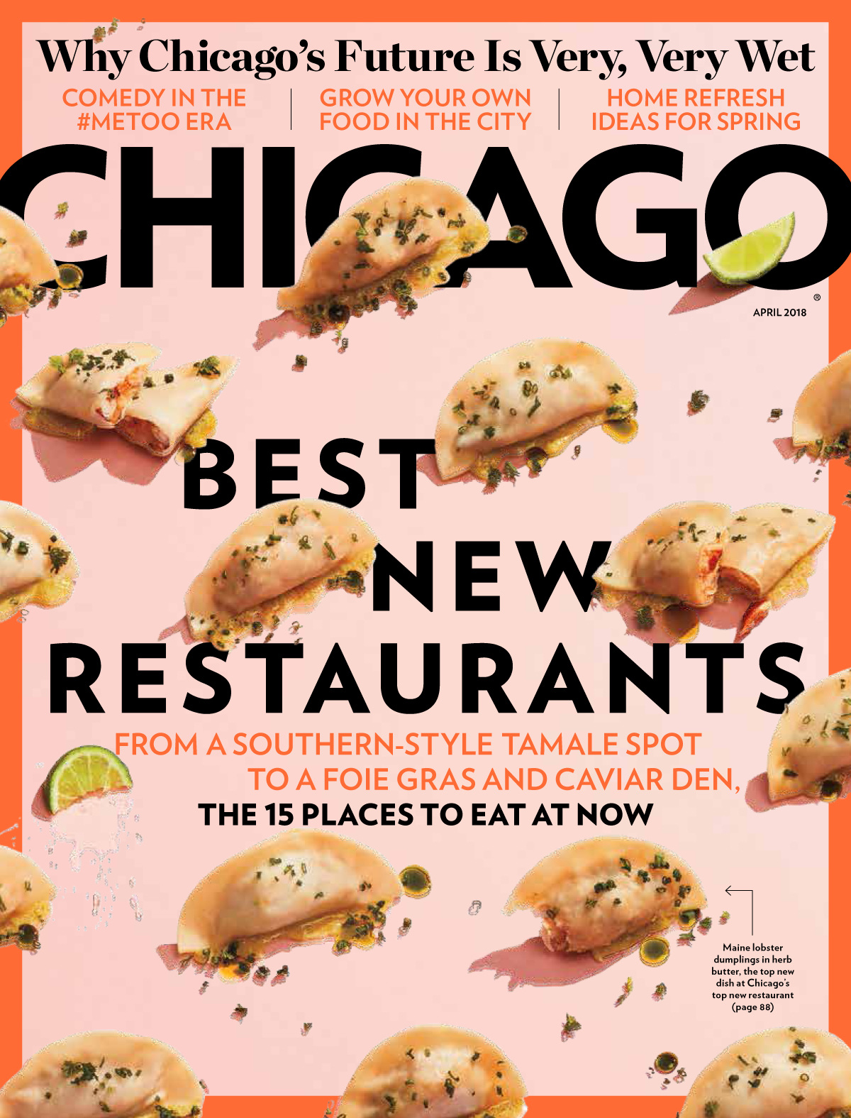 Chicago covers - Katherine Bryja Shady