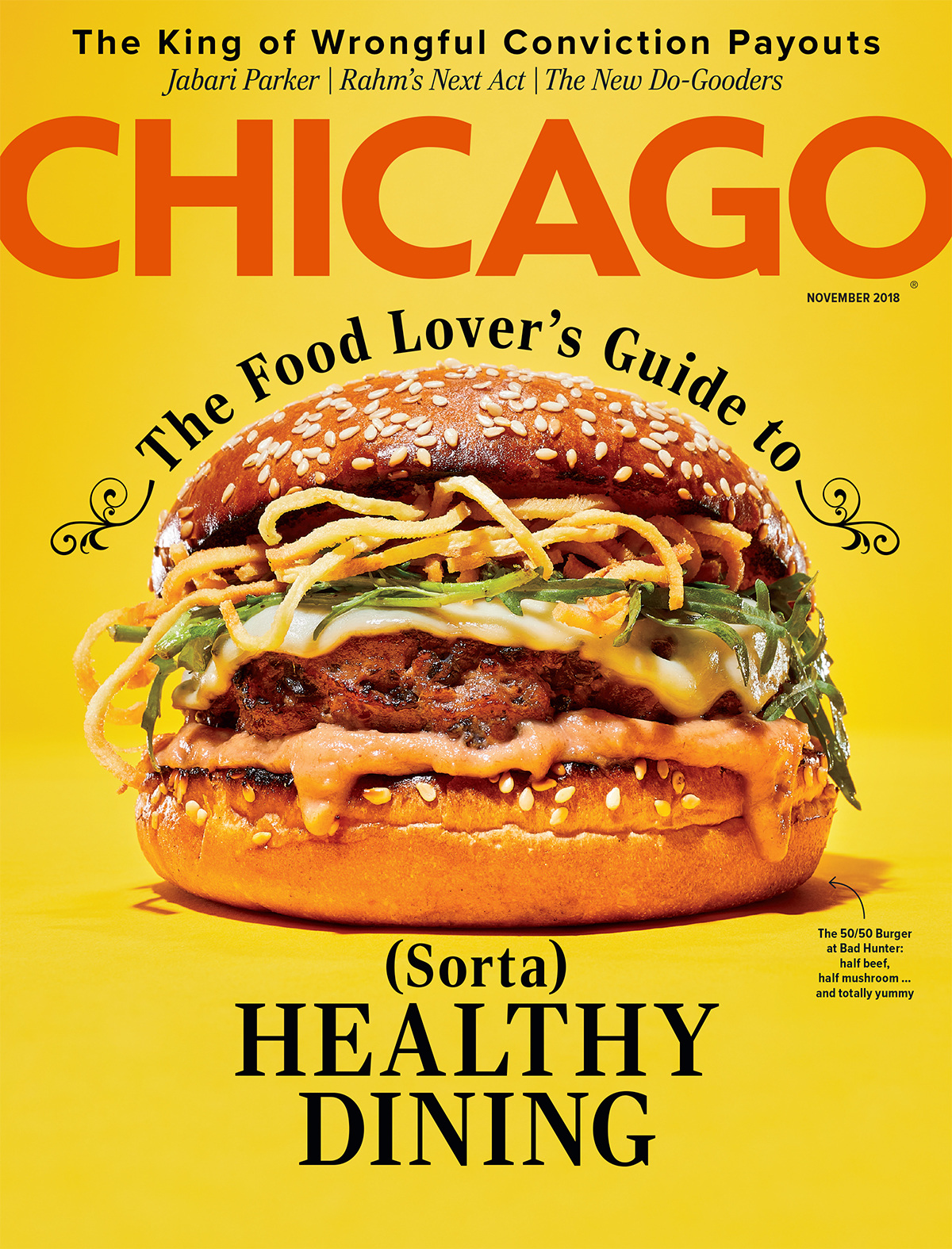 Chicago covers - Katherine Bryja Shady