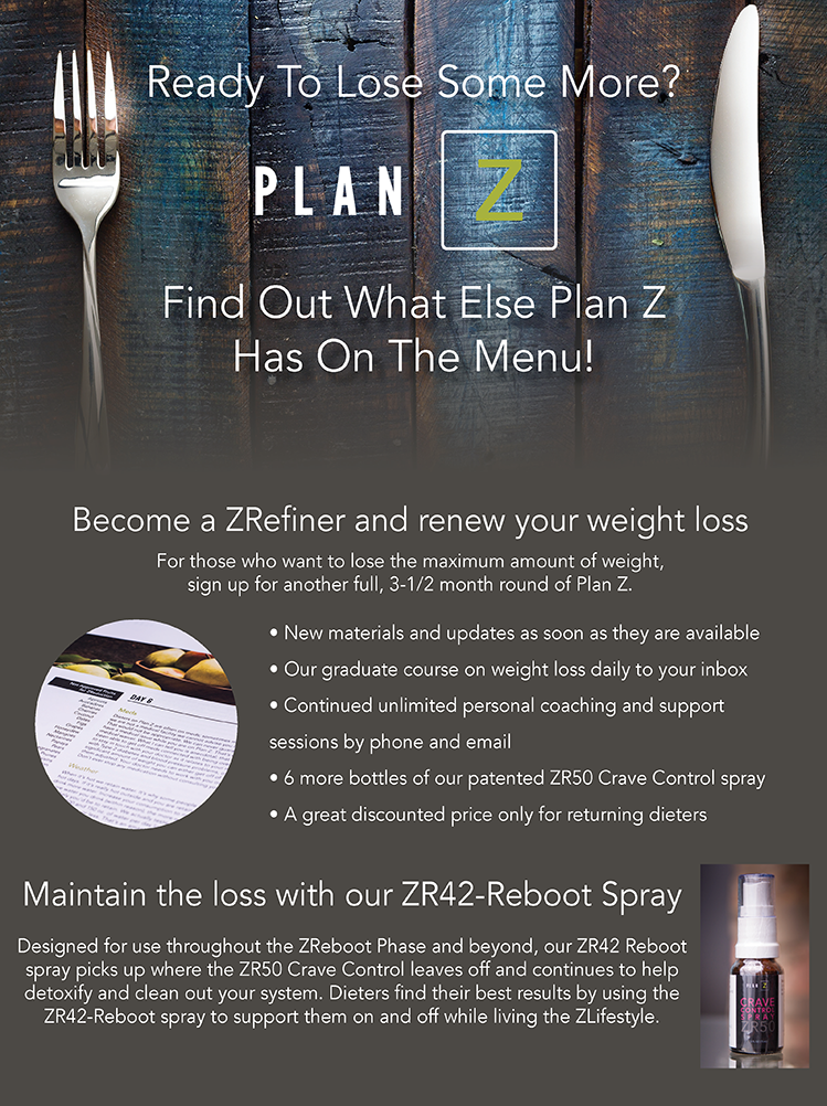 Plan Z - New Customer Menu Insert - Patrick Teff