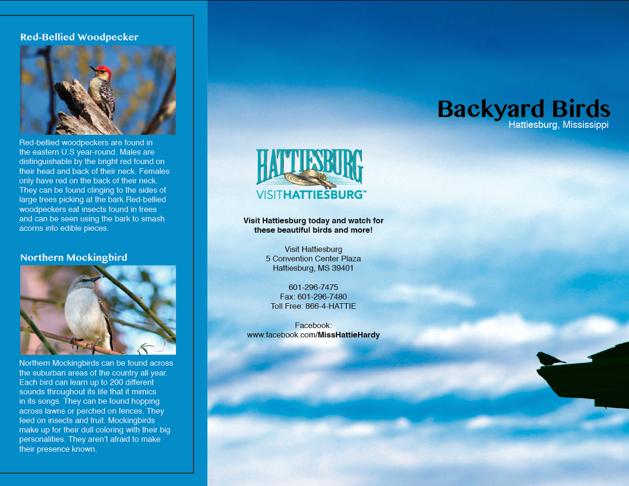 Backyard Birds - Brochure - Hayley R. Howard
