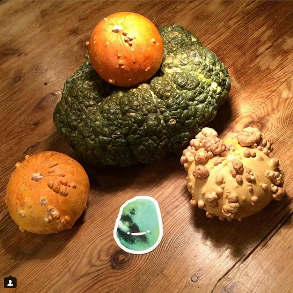 landscape goguma - goguma