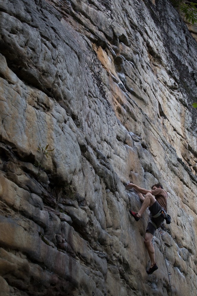 The New, Fall 2015 - Nicholas Seitz: Photographer