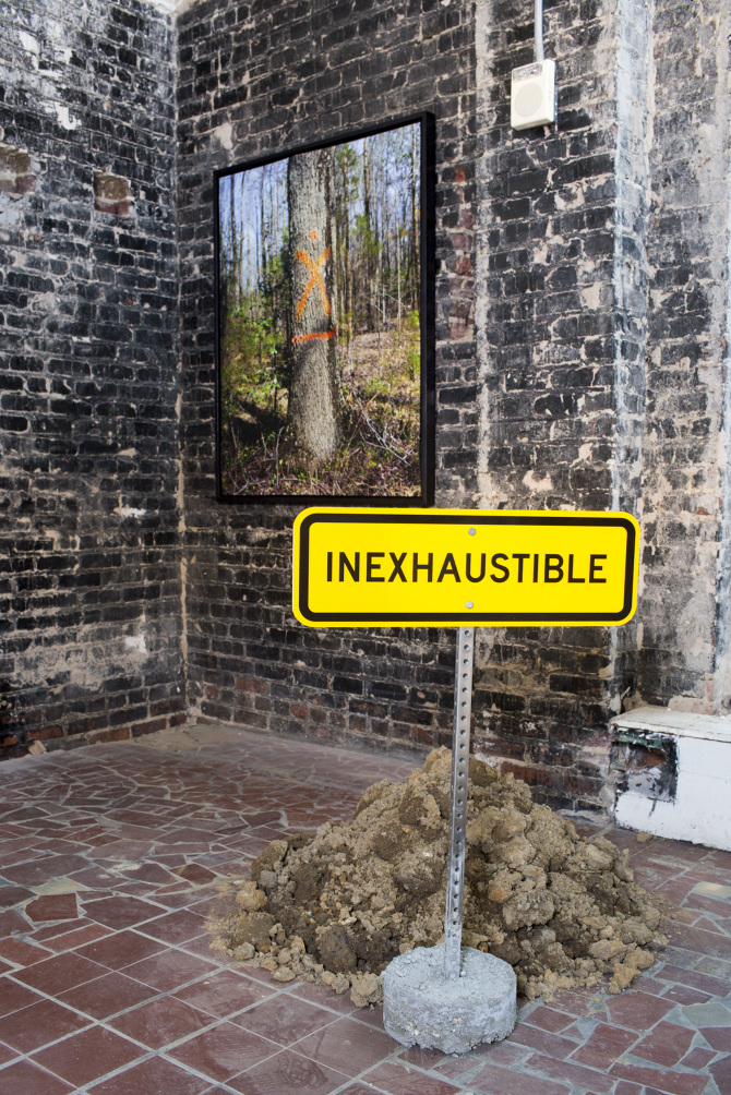 Inexhaustible - Nicholas Seitz: Photographer