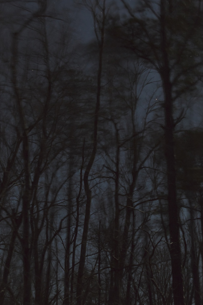 Risk Free - Nicholas Seitz: Photographer