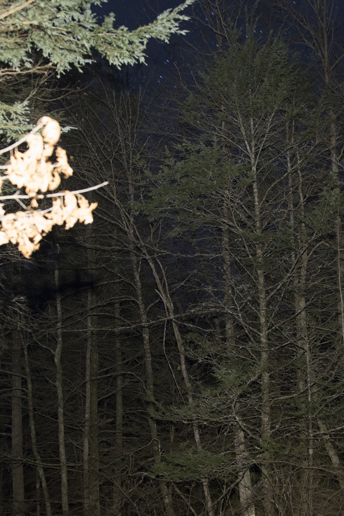 Risk Free - Nicholas Seitz: Photographer