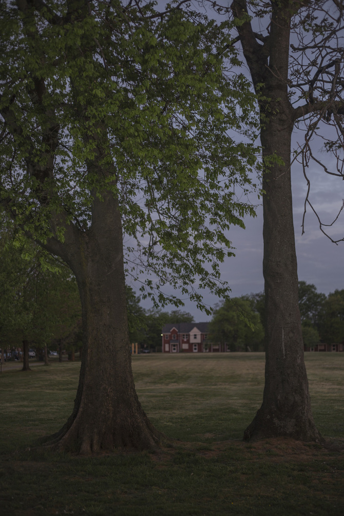 Risk Free - Nicholas Seitz: Photographer