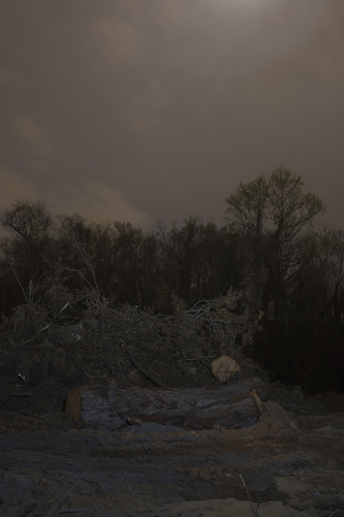 Risk Free - Nicholas Seitz: Photographer