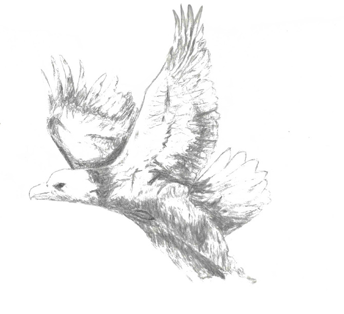 Charcoal & Graphite - Galen Carlson | The Built Life