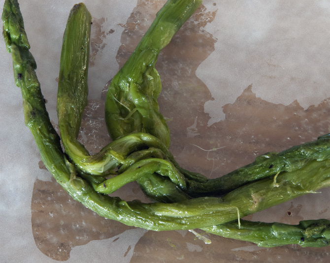 Thresholds - Hope Antonella Guzzo