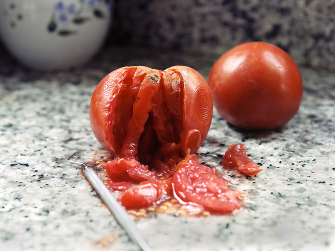 Thresholds - Hope Antonella Guzzo