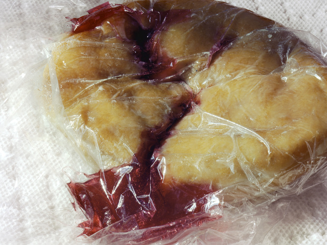 Thresholds - Hope Antonella Guzzo