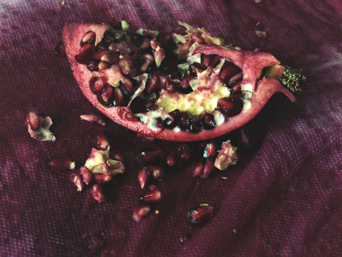 Thresholds - Hope Antonella Guzzo