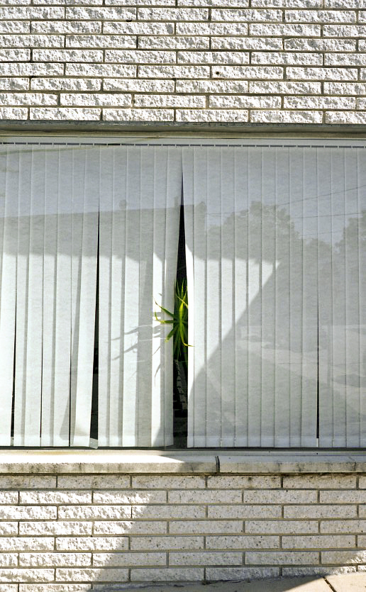 Selected Images - Hope Antonella Guzzo