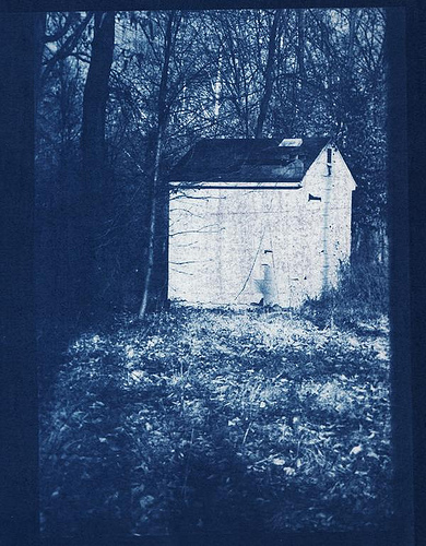 Selected Images - Hope Antonella Guzzo