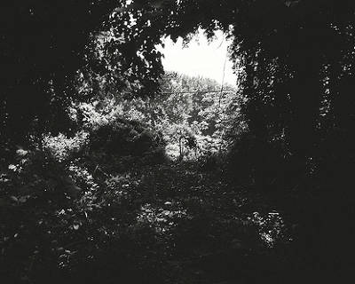 Selected Images - Hope Antonella Guzzo