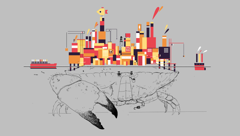 Crabe-Phare - Gaëtan Borde - Portfolio