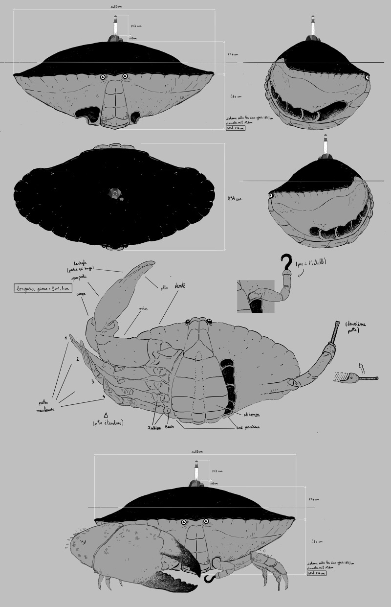 Crabe-Phare - Gaëtan Borde - Portfolio