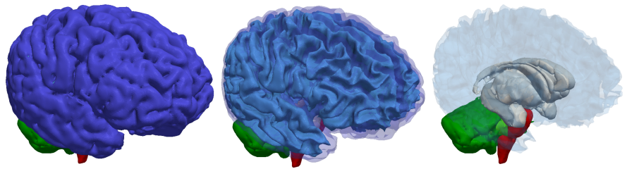 Brain Tissue Mechanics - Aurelie JEAN, PhD (until 2016)