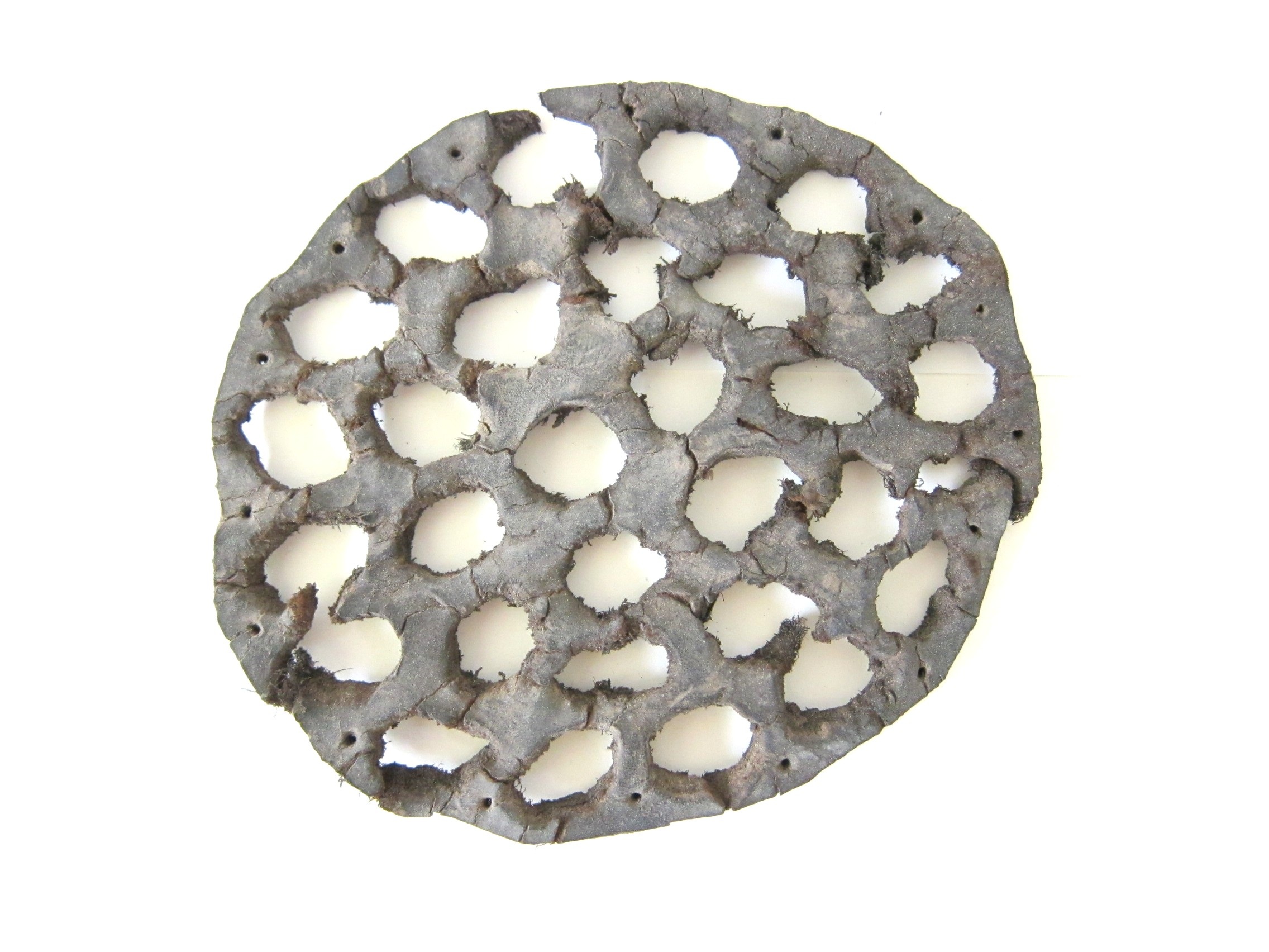 Bury Castle - Bury Art Museum