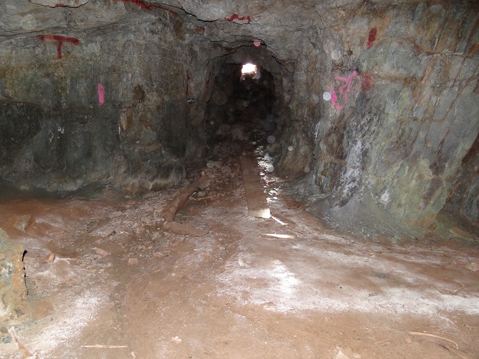 prospecting for gold in Australia - Martin Zaugg