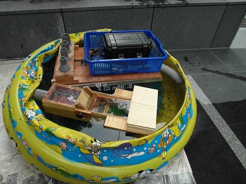 infinity gold sucker pump - Martin Zaugg