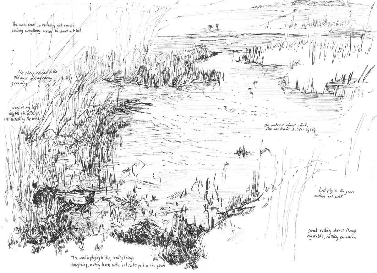 Landscape/Soundscape - ZED EFF