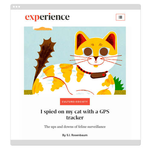 Experience Mag - Cat Tracker - Malota