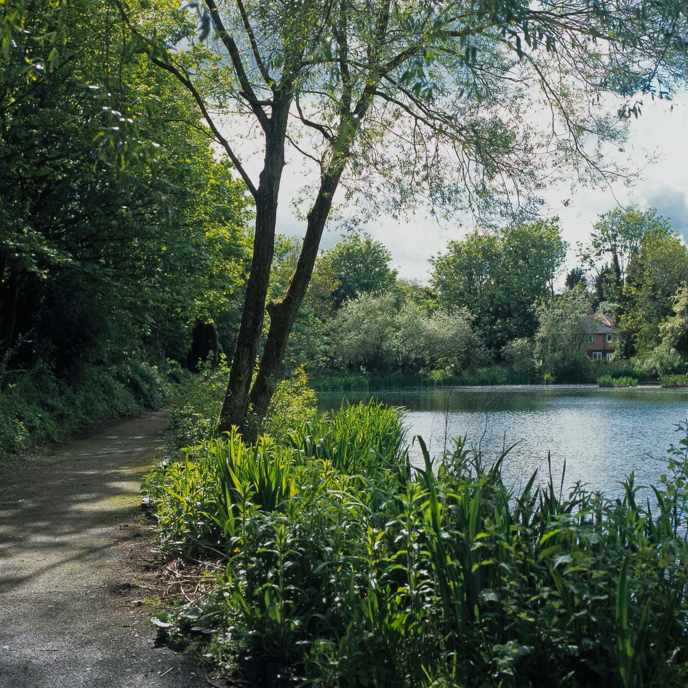 Cultural Hubs: Thatto Heath - Kevin Crooks