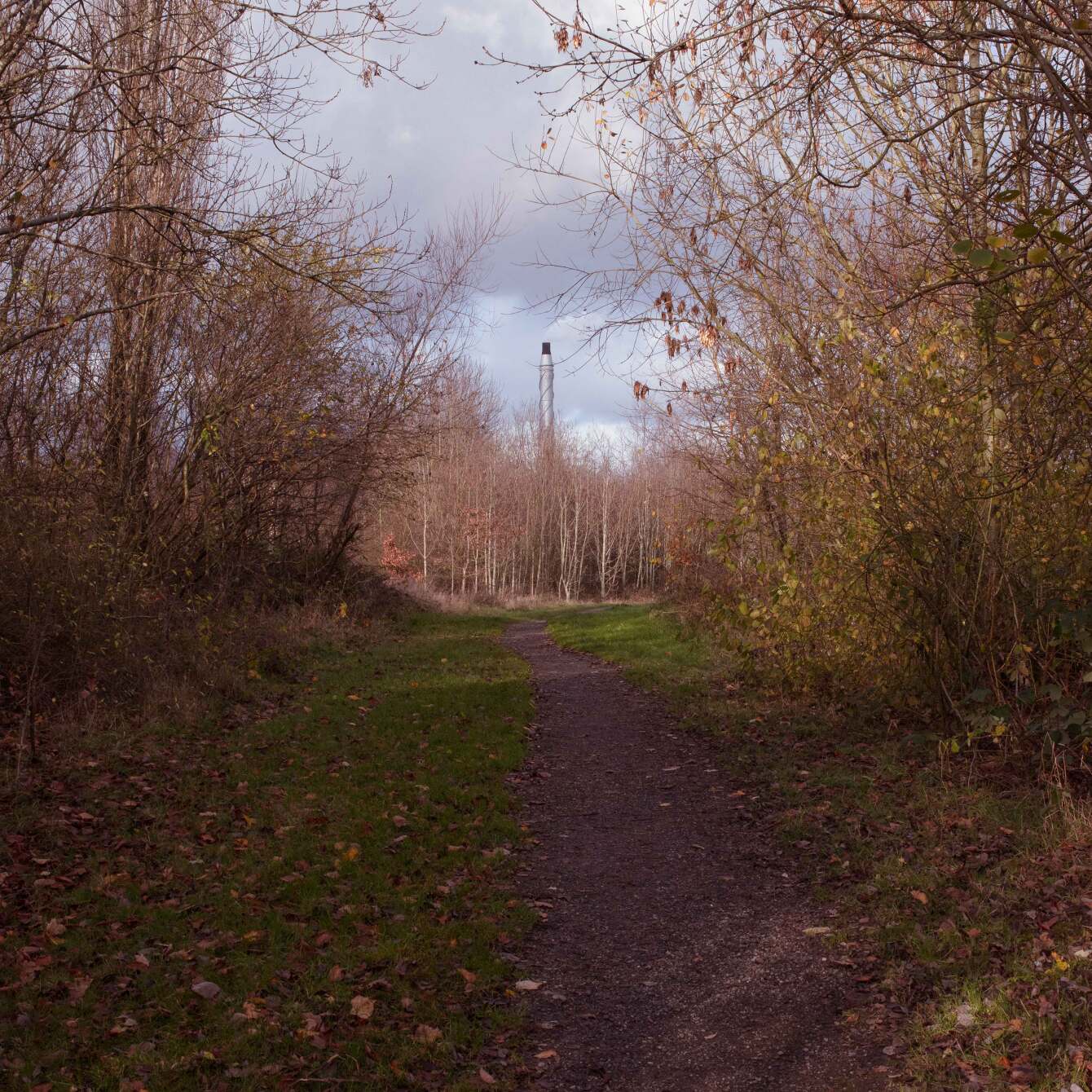 Cultural Hubs: Thatto Heath - Kevin Crooks