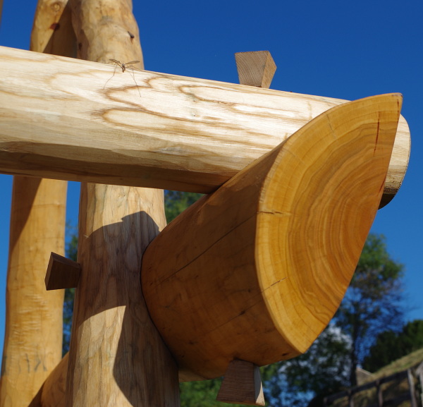 Roundwood Timber Framing - sylvan structures