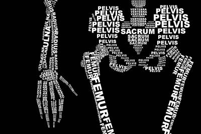 Skeleton Typography - Elizabeth Parkin