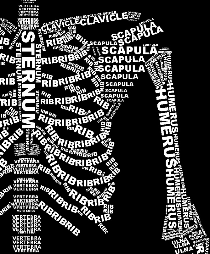 Skeleton Typography - Elizabeth Parkin