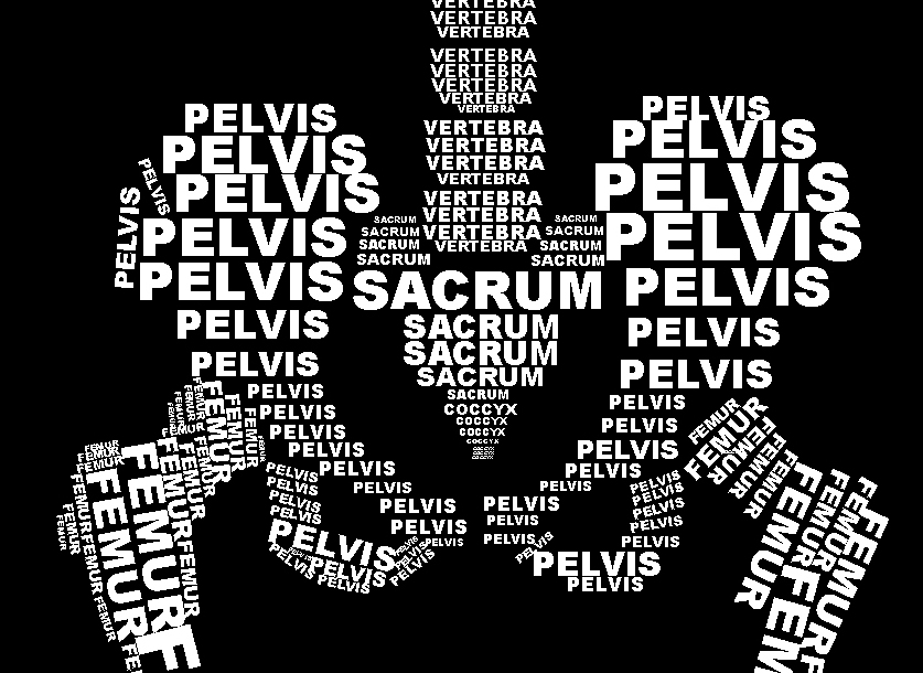 Skeleton Typography - Elizabeth Parkin