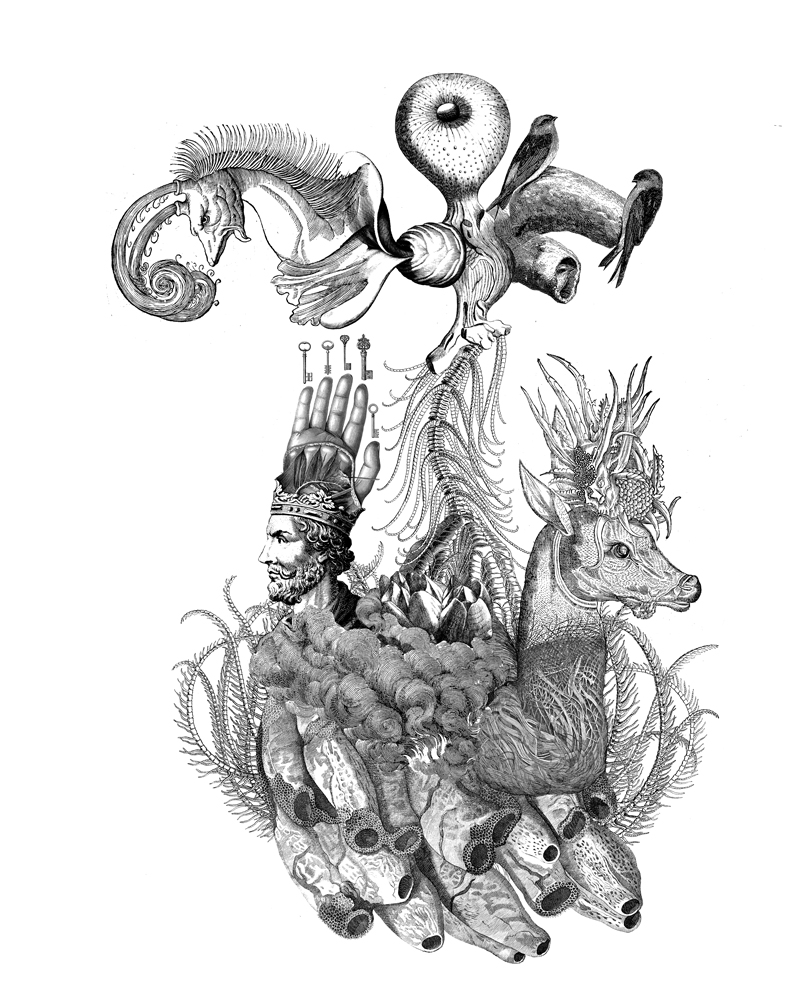 Collage Design - VIA AEREA