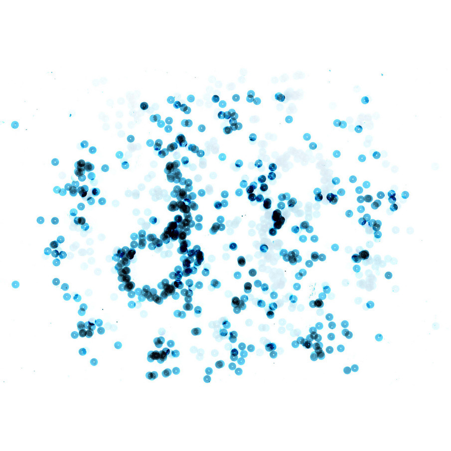 Disperse - Sophomore Portfolio