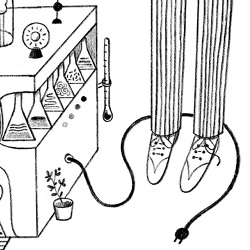 Beautiful Mutants, Swallowing Geography - Julianna Brion Portfolio