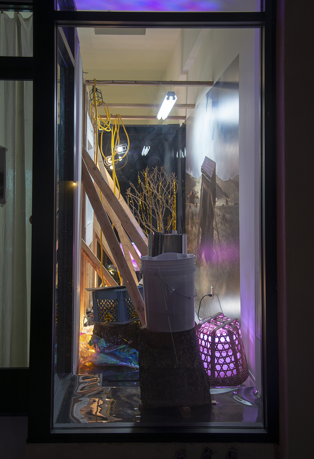 Arrested Decay Interpretive Site - www.torreya.info