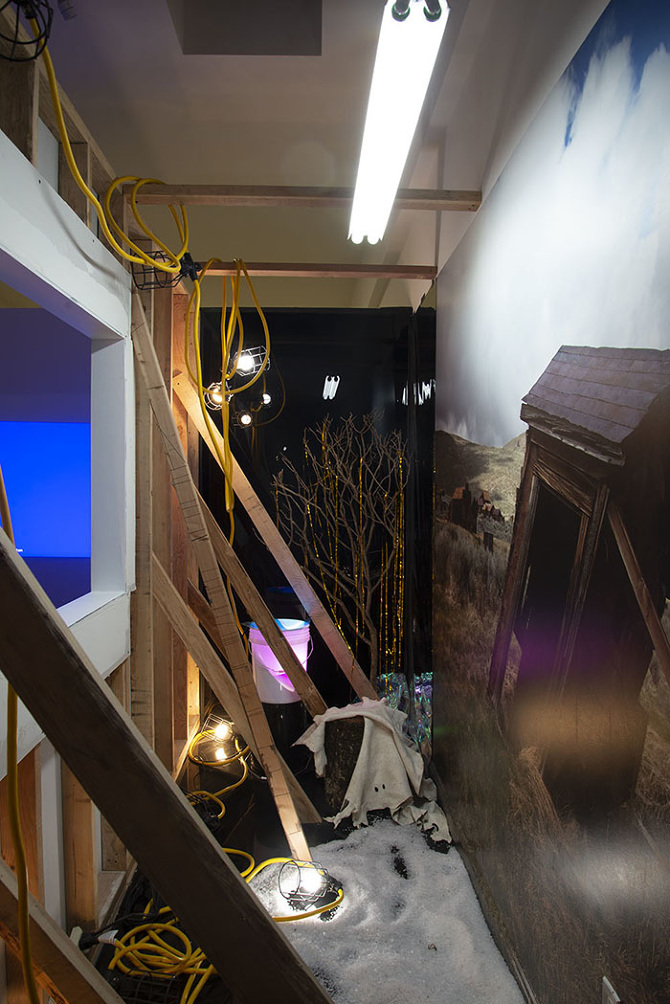 Arrested Decay Interpretive Site - www.torreya.info