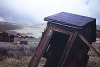 Arrested Decay Interpretive Site - www.torreya.info