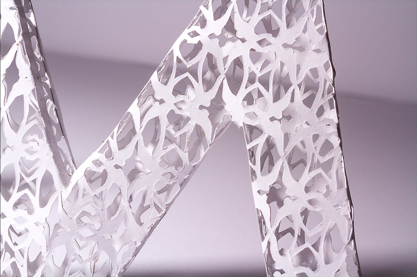 Hand Crafted Paper Cut Typography - Sam Macín