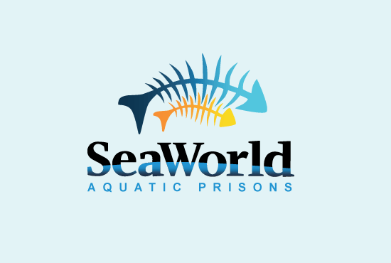 SeaWorld Re-brand - Amber Wielenga Design & Illustration