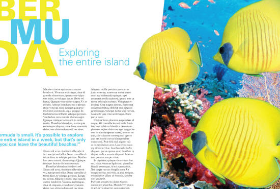 Mini Magazine - Amber Wielenga Design & Illustration