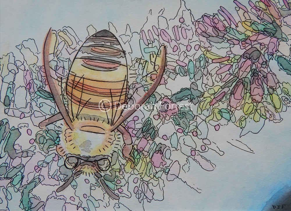 Deborah Forrest: Art