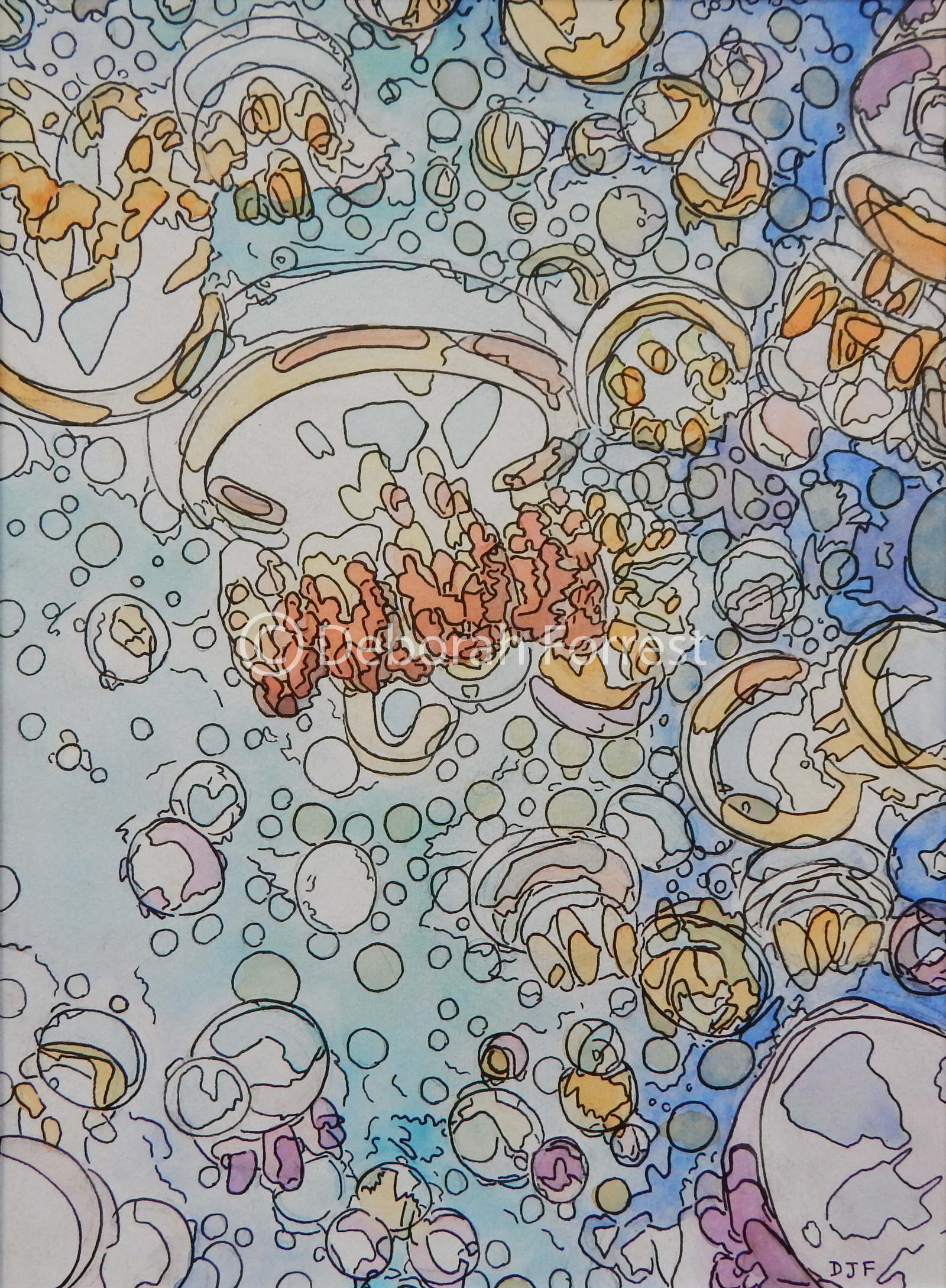 Deborah Forrest: Art