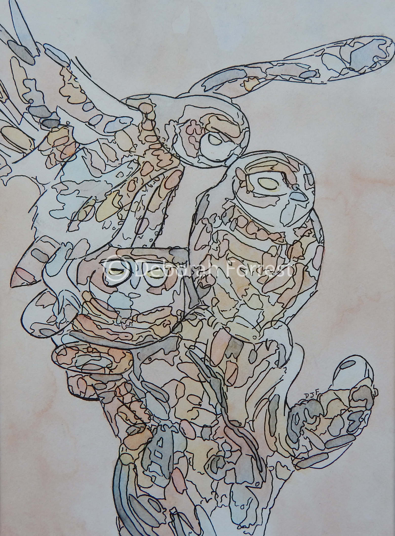 Deborah Forrest: Art