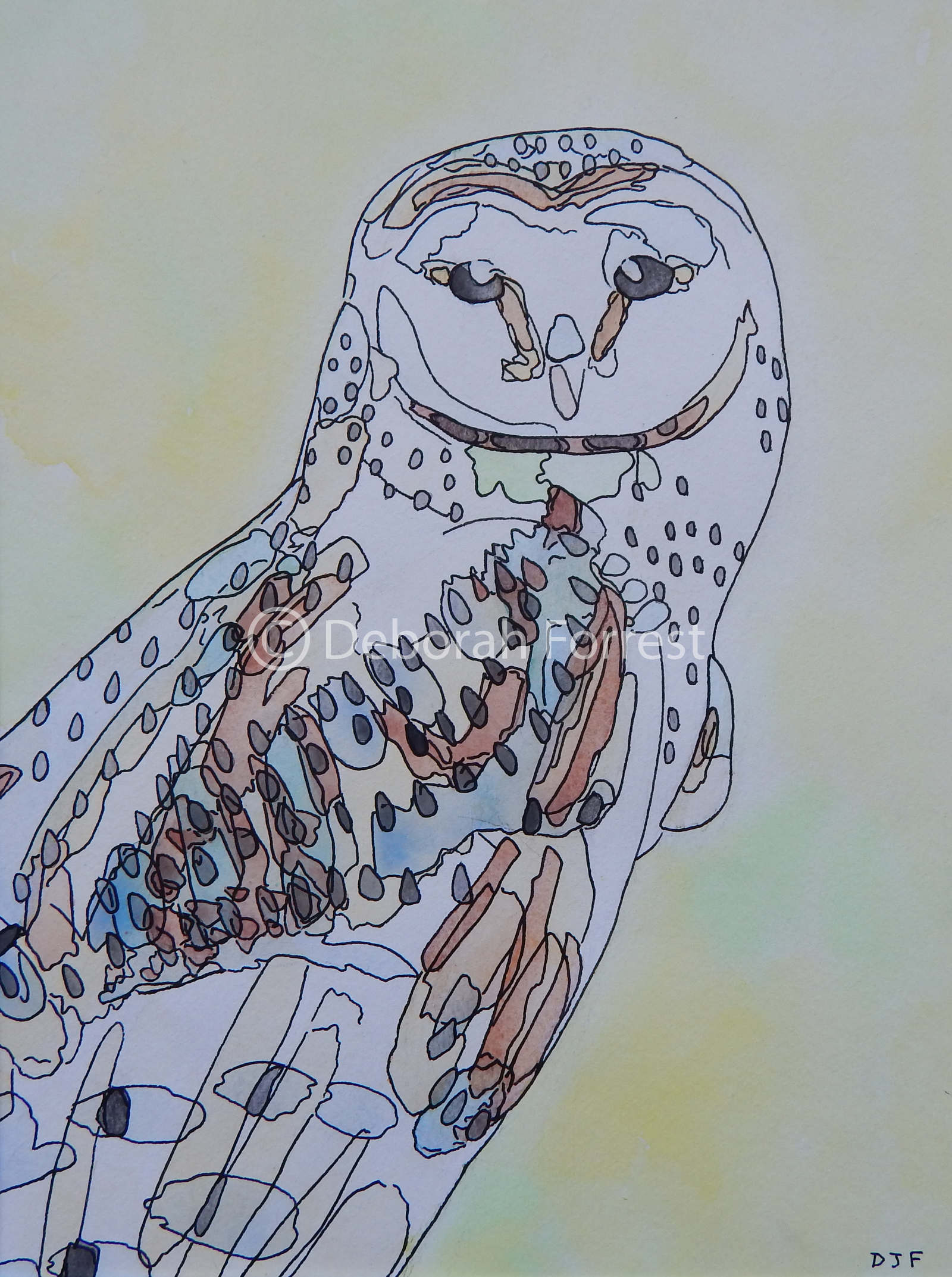 Deborah Forrest: Art