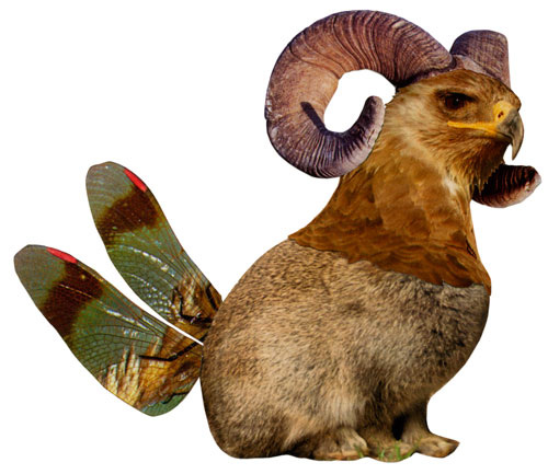 THEIR Wolpertingers - The Wolpertingers