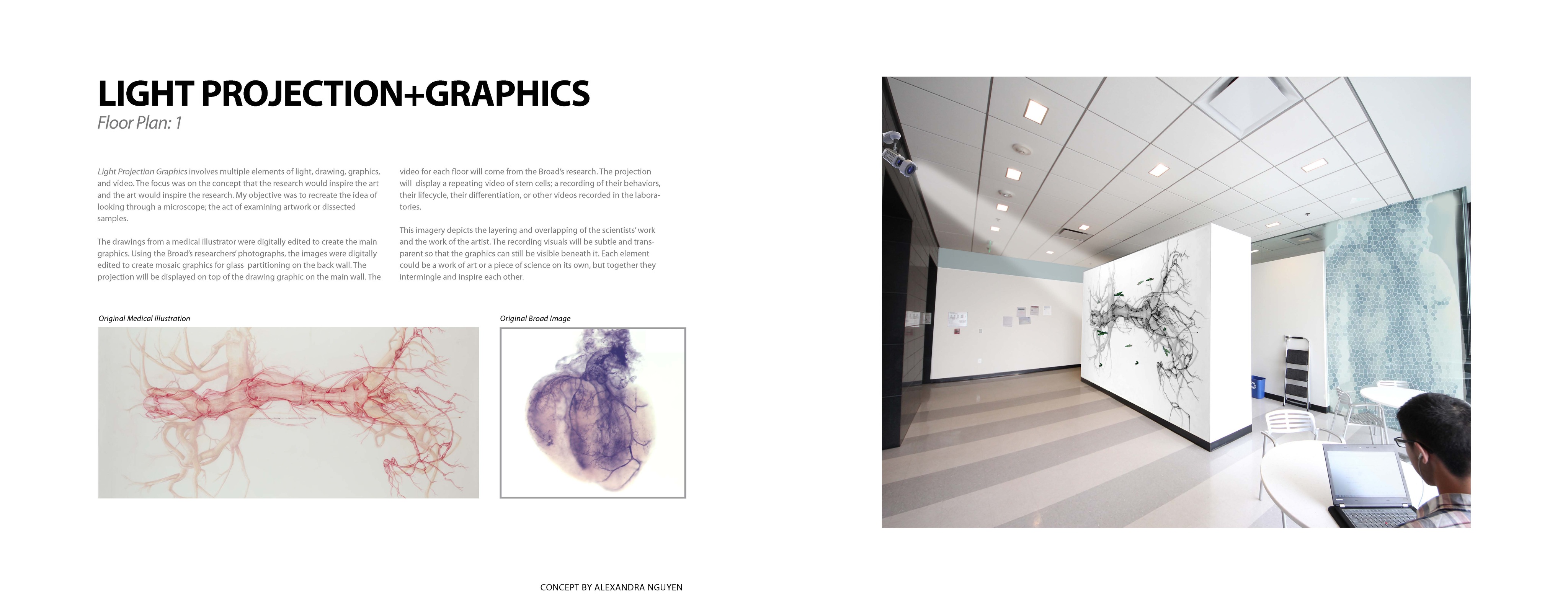 Light Projection Graphics - Alexandra Nguyen