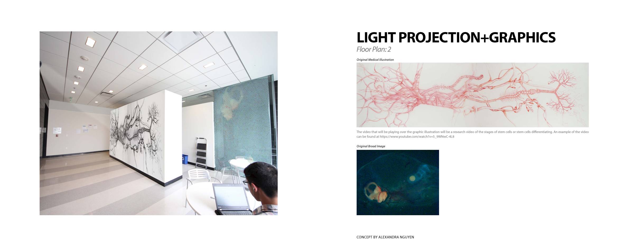 Light Projection Graphics - Alexandra Nguyen